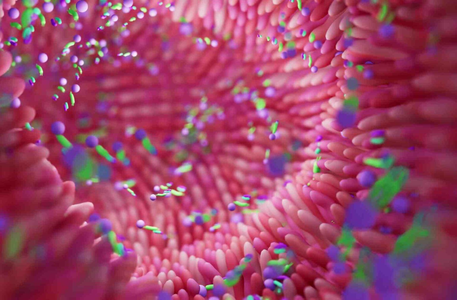 What Is Live Food: A Guide To Nutrient-Dense, Plant-Based Eating - The ...